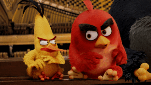 angry birds red and chuck fighting fbfql2uwy32n5ulv gif – Trending GIF ...